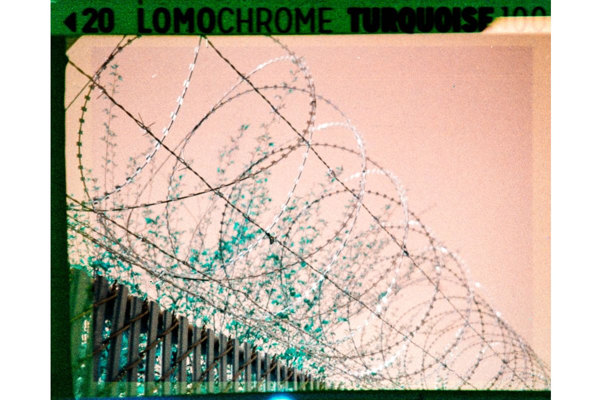 Lomography Lomochrome Turquoise 110 – C41 PHOTO